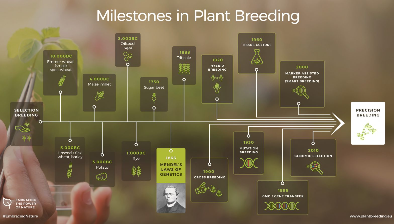 Genetic variation is the “Fuel” of Plant Breeding