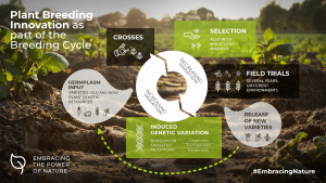 Documents & Publications