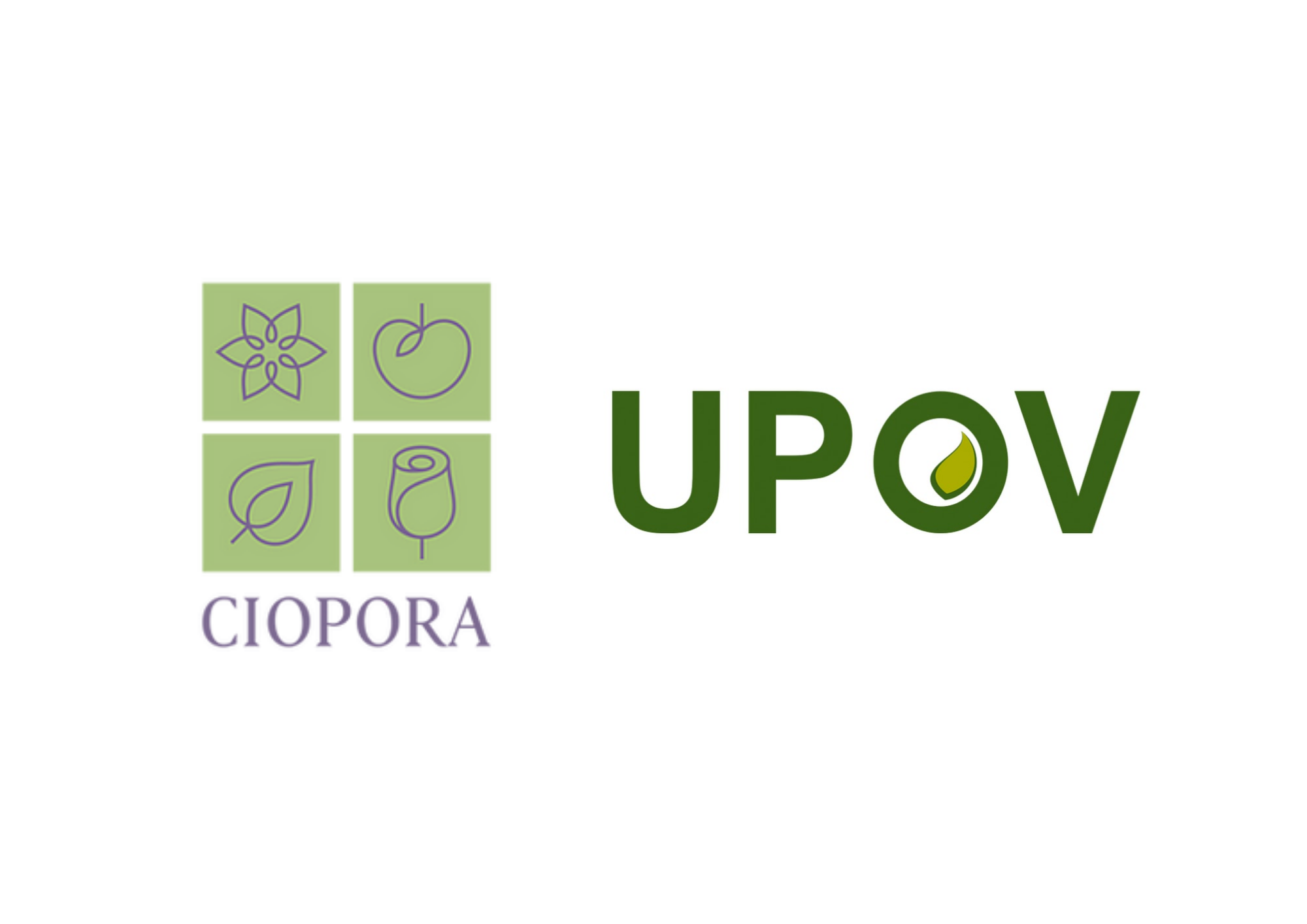 60th Anniversary of CIOPORA and UPOV Convention - Euroseeds