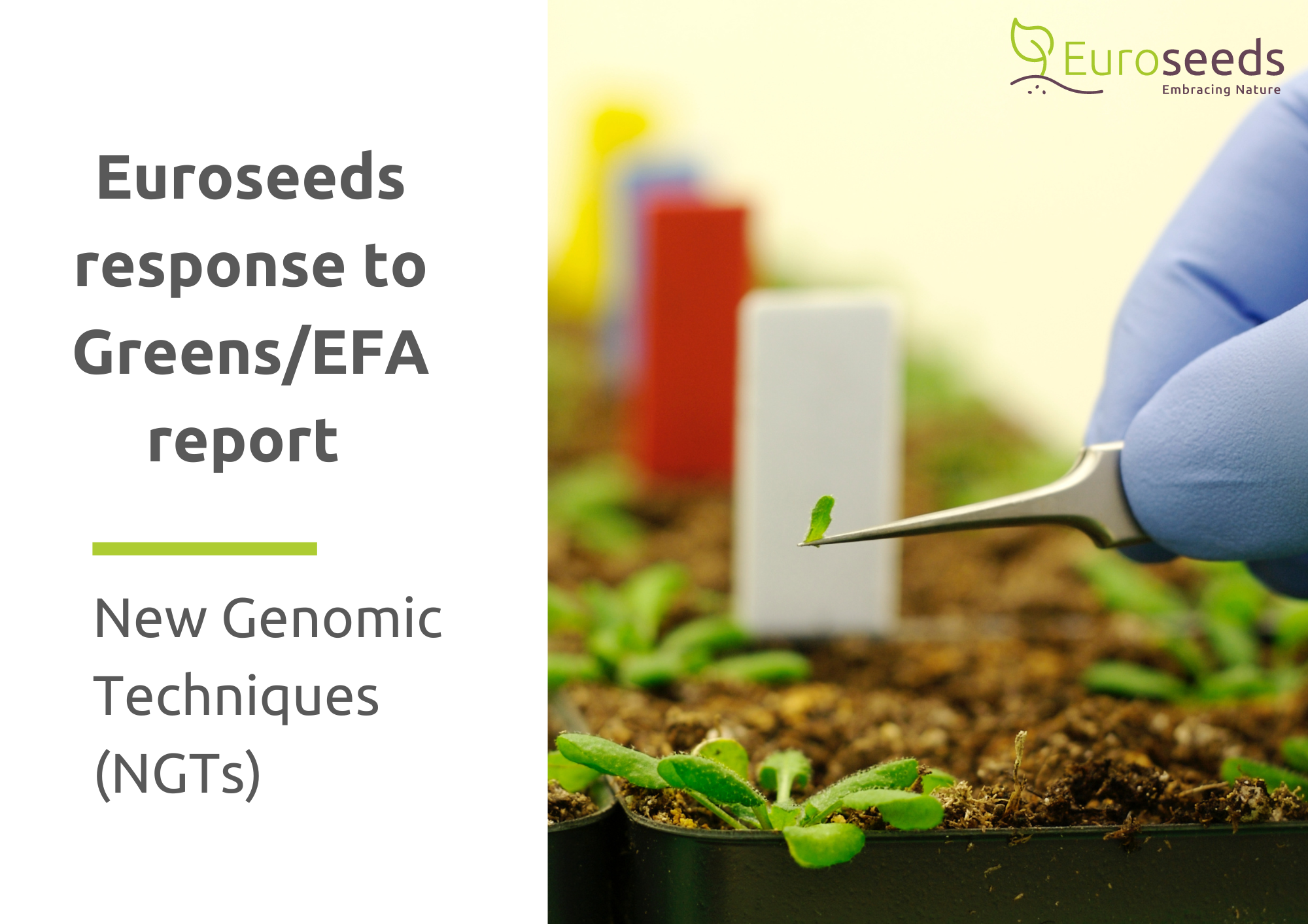 Open reply to European Greens attempts to discredit broad scientific ...