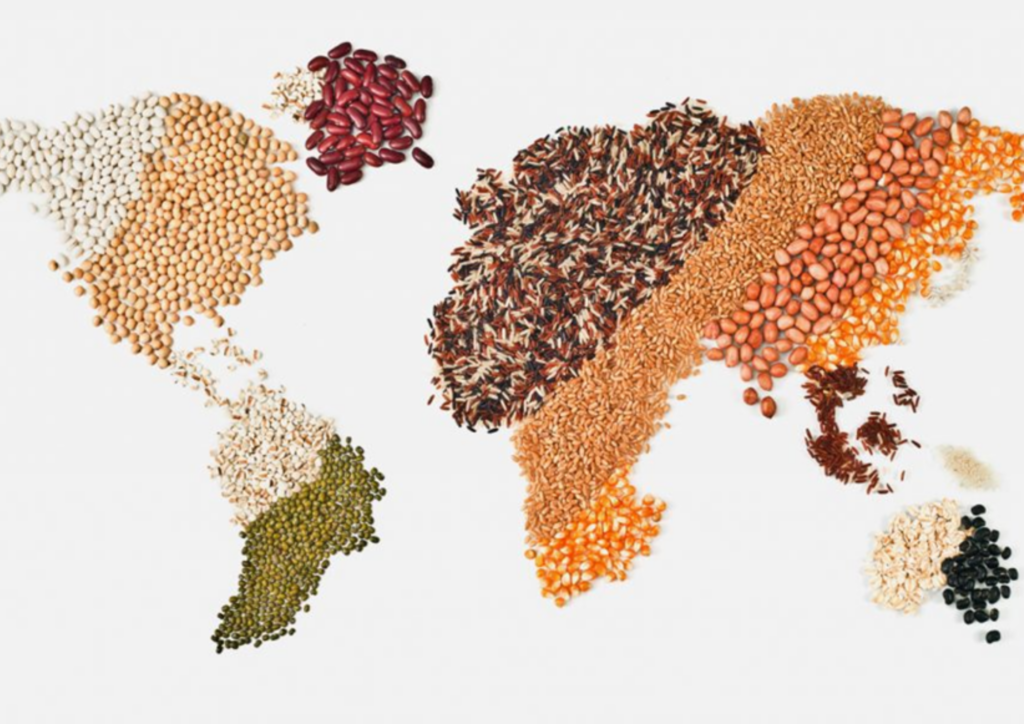 Global leaders pledge to cooperate for food security - Euroseeds