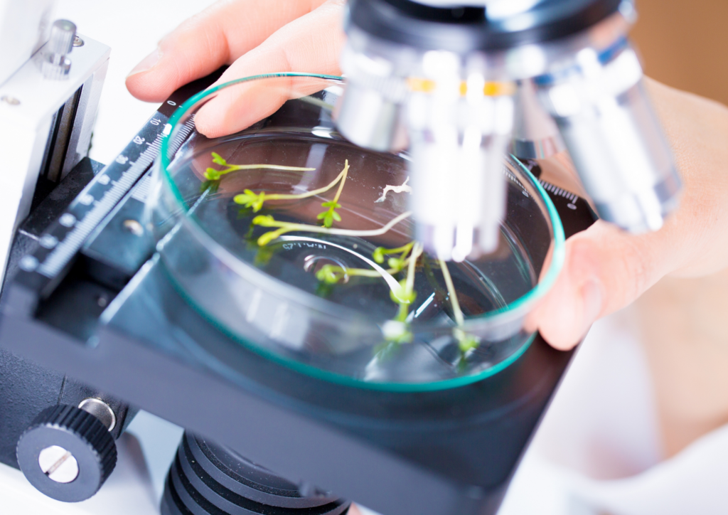 EU consultation confirms that Europeans support policy change on Novel ...