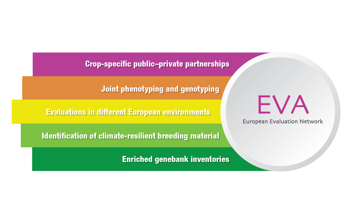 EVA – The European Evaluation Network - Euroseeds