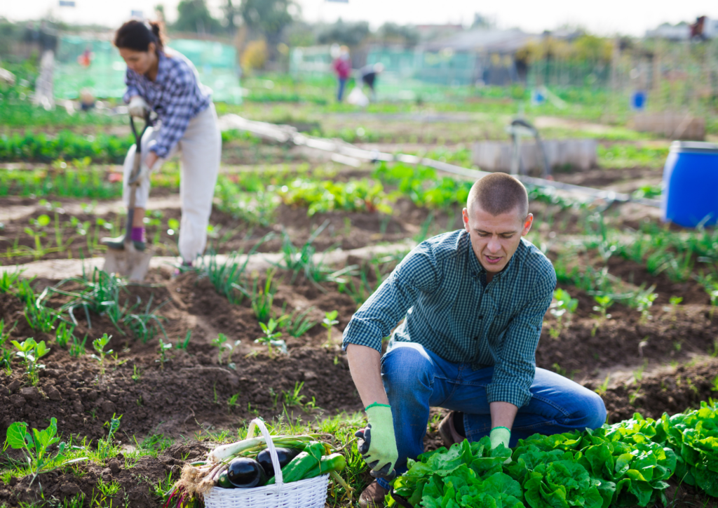 FAO releases 15 case studies on the use of biotechnologies to meet the ...