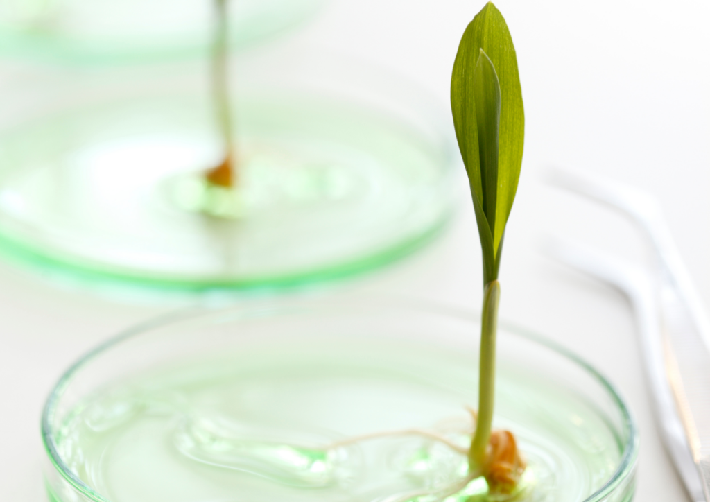 Euroseeds welcomes the Commission's ambition on green biotechnology ...