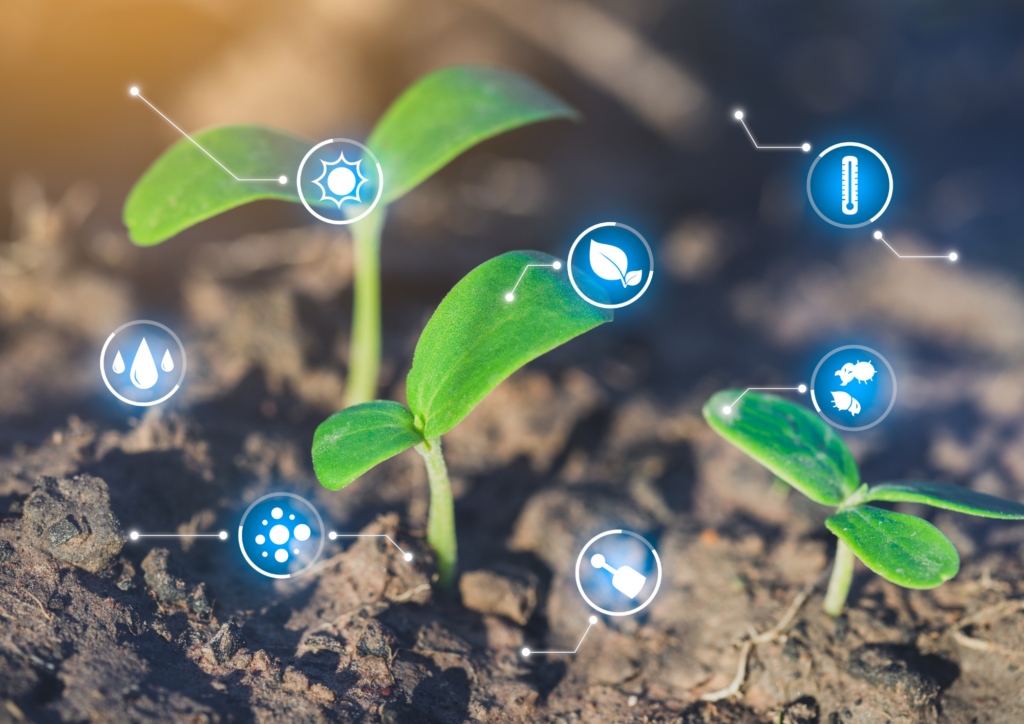 Top 5 advancements for new plant breeding methods in 2024 - Euroseeds