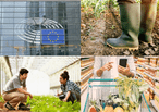 Euroseeds urges ENVI Committee to secure timely agreement of NGT ...