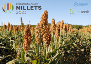 Let's welcome the International Year of Millets! - Euroseeds
